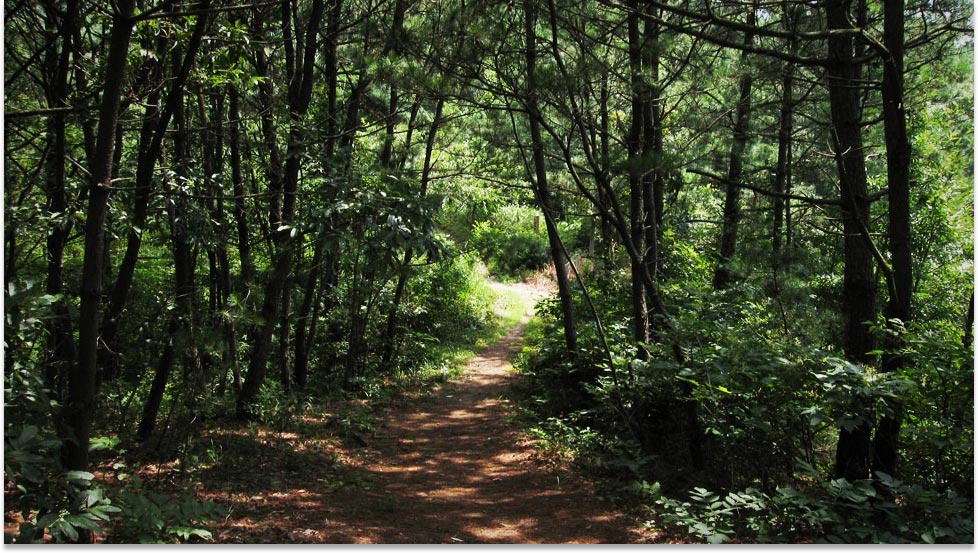 [ Wolmyeongsan Mountain > Mountains of Seocheon > ]